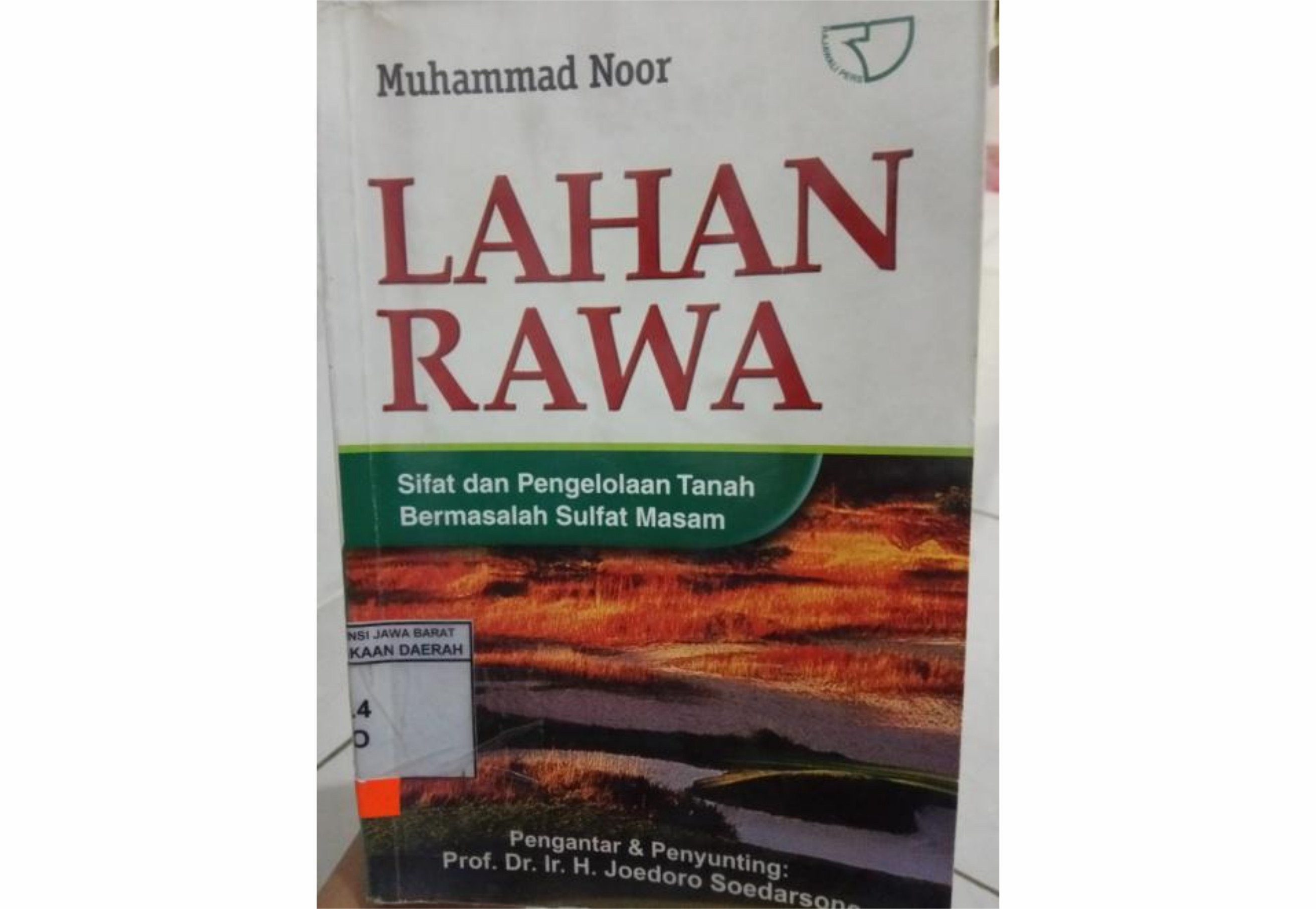 [Review Buku] Lahan Rawa, Sifat dan Pengelolaan Tanah Bermasalah Sulfat ...