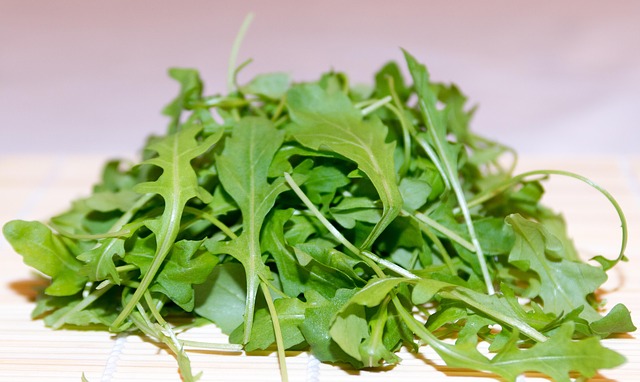 Mengetahui Cara Menanam Daun Arugula Sivelta | Pak Tani Digital