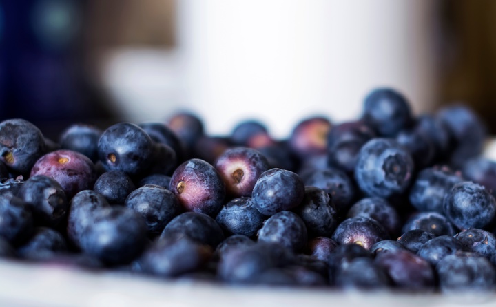 Berikut Manfaat Buah Blueberry Untuk Kesehatan | Pak Tani Digital