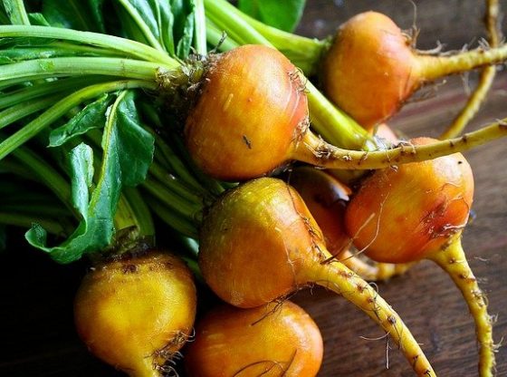 Ada Beberapa Manfaat Buah Bit Bagi Tubuh | Pak Tani Digital