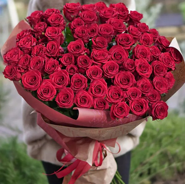 Mengenal Mawar Holland dan Cara Budidayanya | Pak Tani Digital